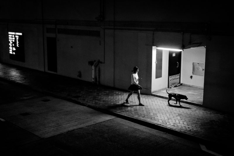 Exploring Light and Shadow Art Exhibition – Ten Moir Gallery