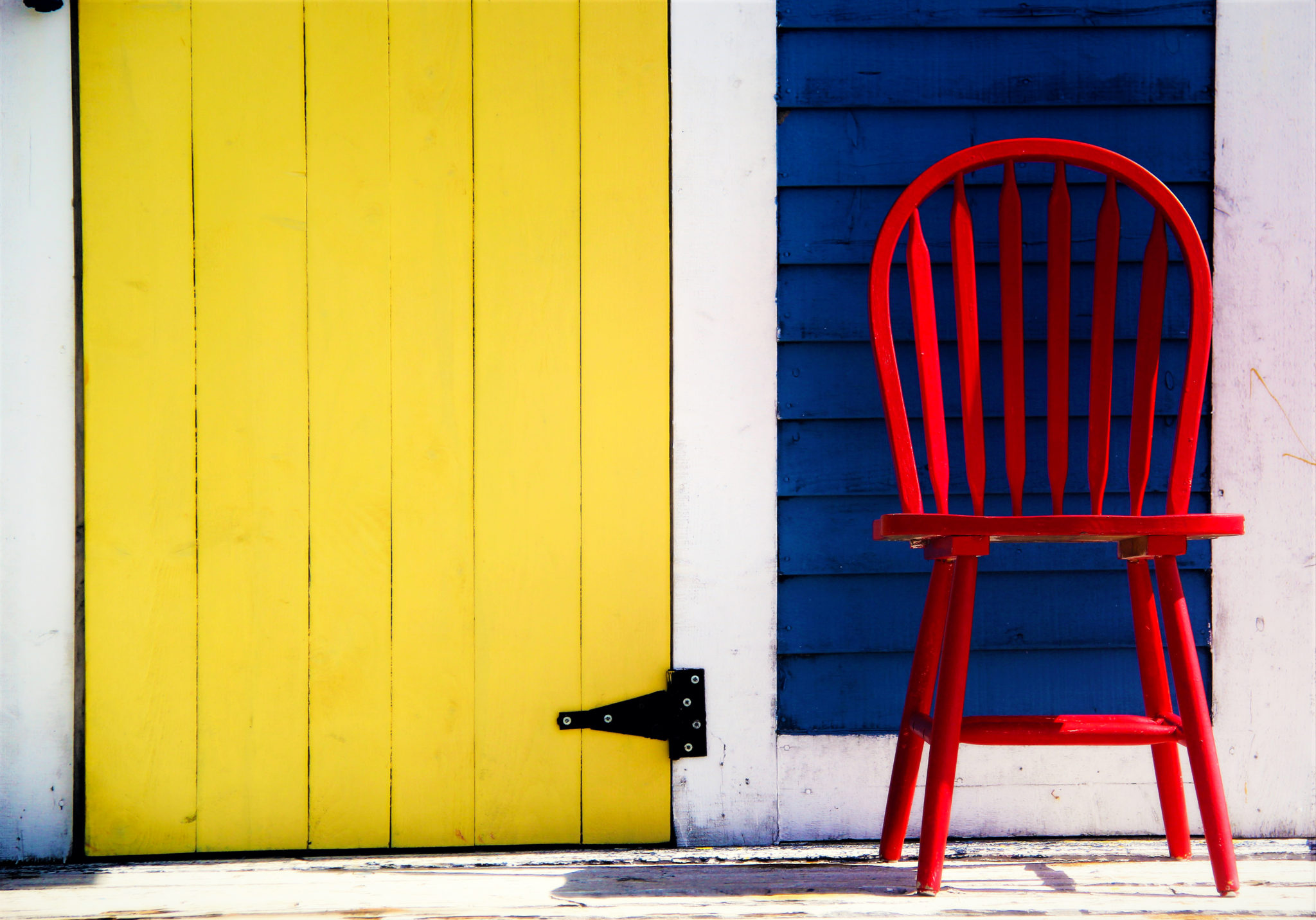 Vibrant Colors Art Exhibition – Ten Moir Gallery