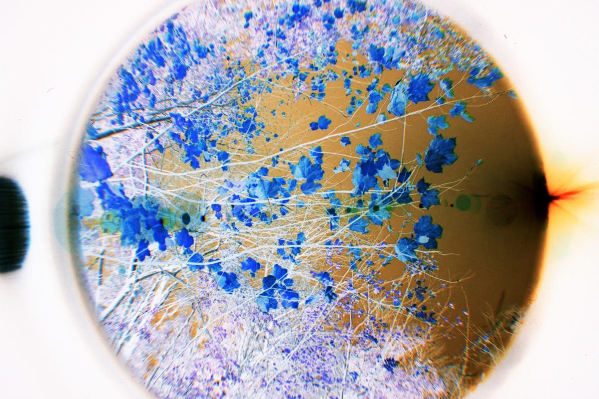 Seasons in Art: A Visual Journey Through Nature’s Transformations – Ten ...