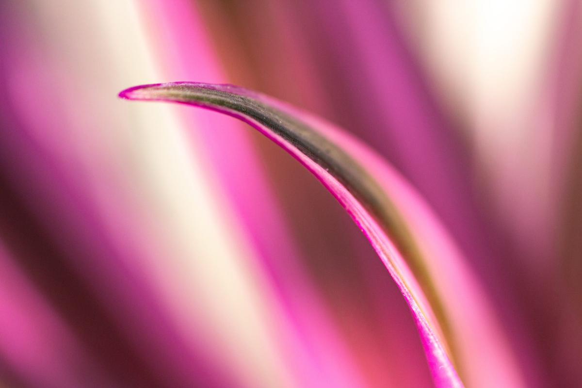 Vibrant Colors 2024 Virtual Art Exhibition – Ten Moir Gallery